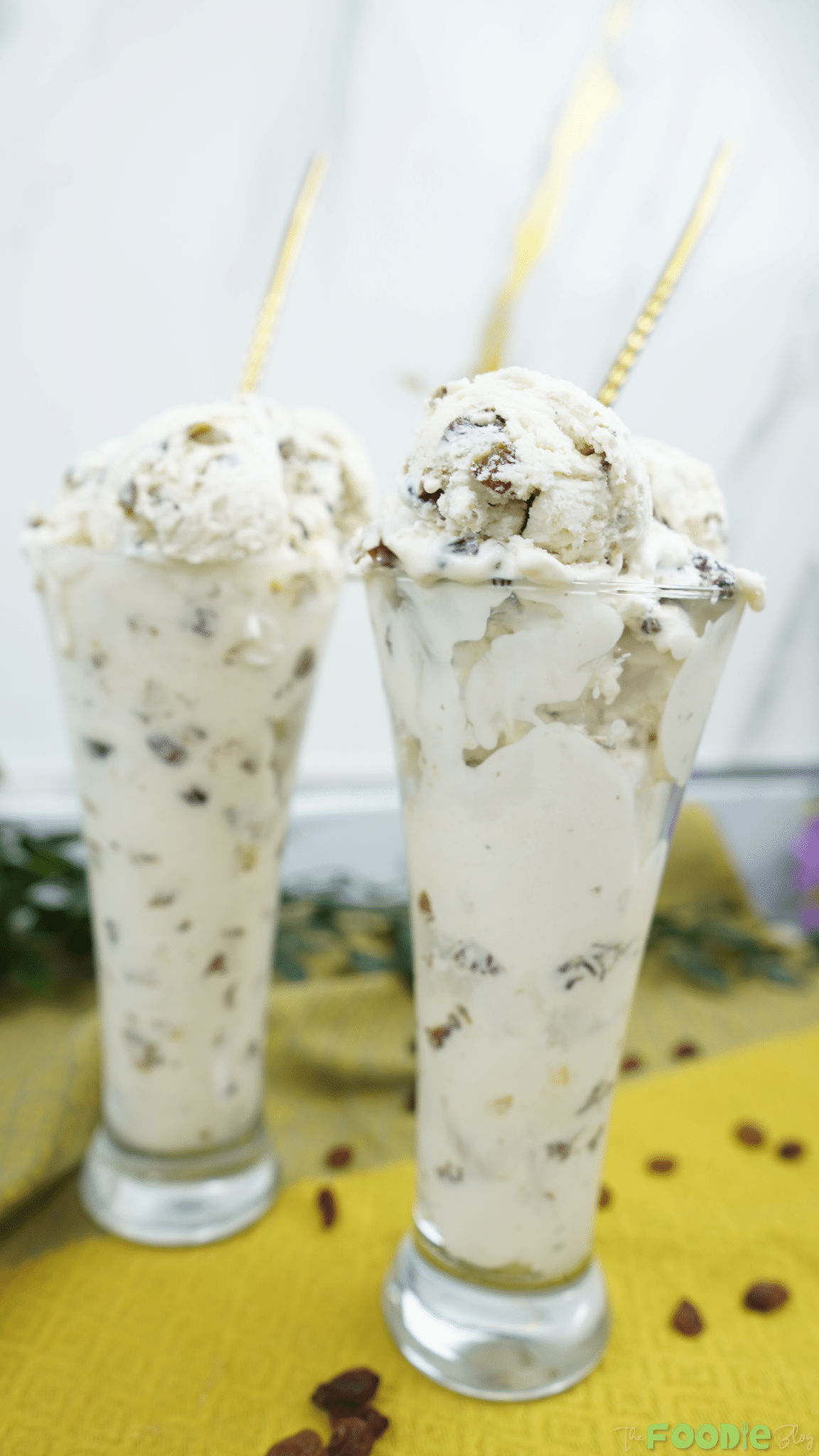 Rum and Raisin Ice Cream Recipe | The Foodie Blog